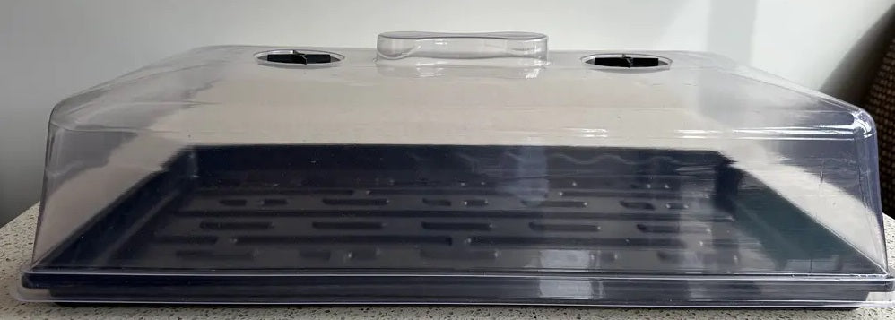 10 x 20 Trays with Dome (Pack of 5) — Jolly Green Nursery
