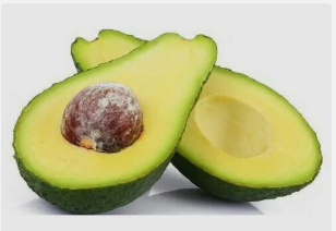 Avocado-Mexicola Grande Tree Type A — Jolly Green Nursery