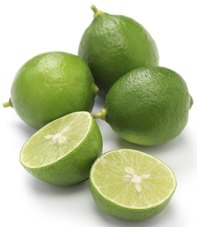 Lime - Key Lime Tree — Jolly Green Nursery