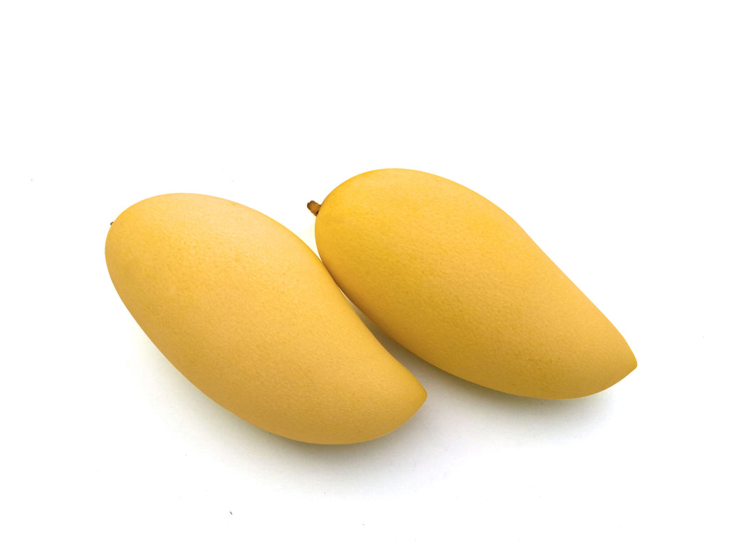 Mango trees | Edible Plant Nursery Tampa Florida — Jolly Green Nursery