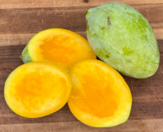 Mango-Sugar Loaf Tree by Zills — Jolly Green Nursery